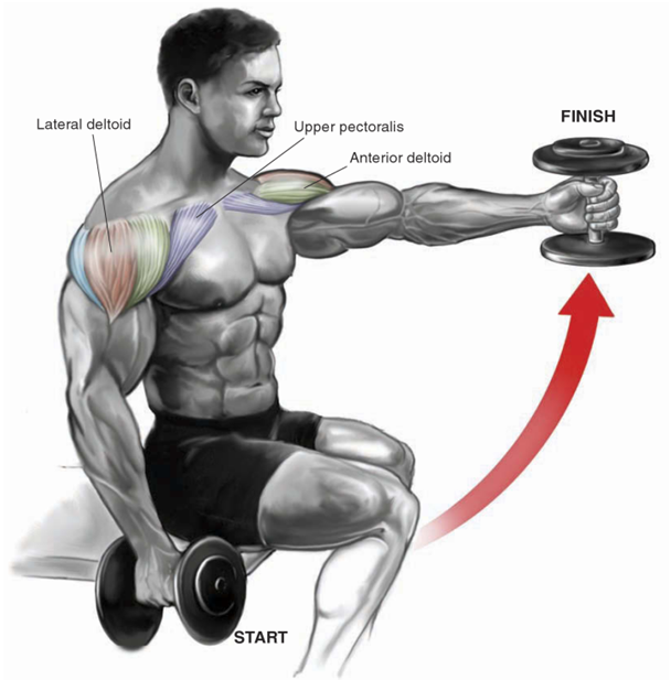 Seated Shoulders Exercise • Stephane Andre