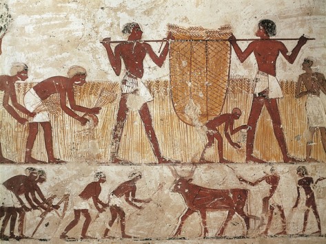 Fitness History (Part 1) • Stephane Andre