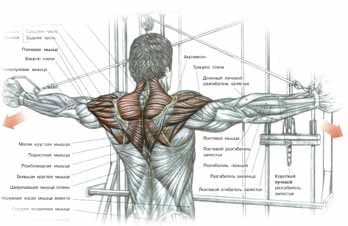 High Pulley Lateral Extensions • Stephane Andre