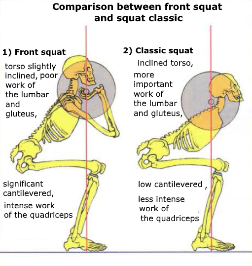 Adapt Your Training To Your Morphology (Part 2) • Stephane Andre
