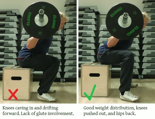How To Do Box Squat • Stephane Andre