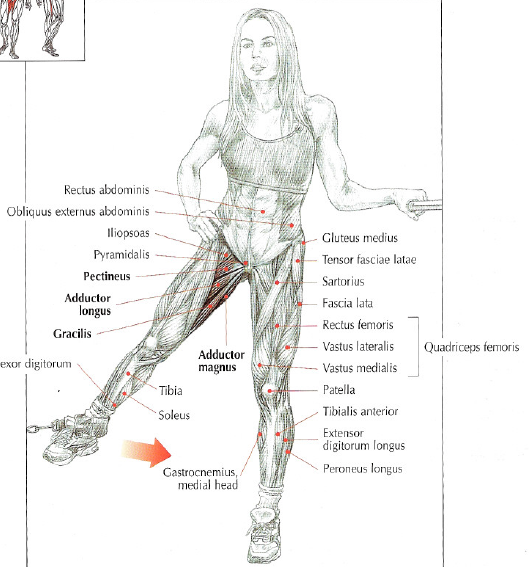Cable Adductions • Stephane Andre