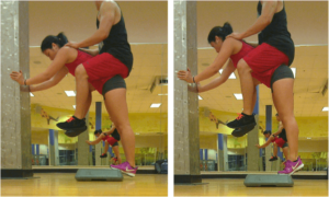 Donkey Calf Raises • Stephane Andre