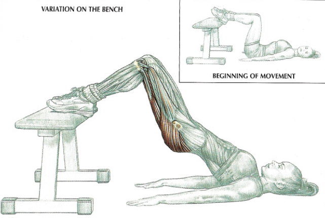 Bridge • Stephane Andre