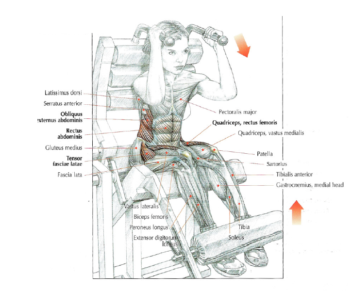 Machine Crunch • Stephane Andre