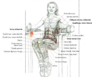 Leg Raises • Stephane Andre