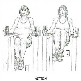 Leg Raises • Stephane Andre