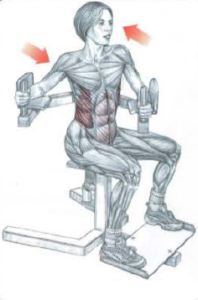 Machine Trunk Rotation • Stephane Andre