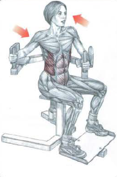 Machine Trunk Rotation • Stephane Andre